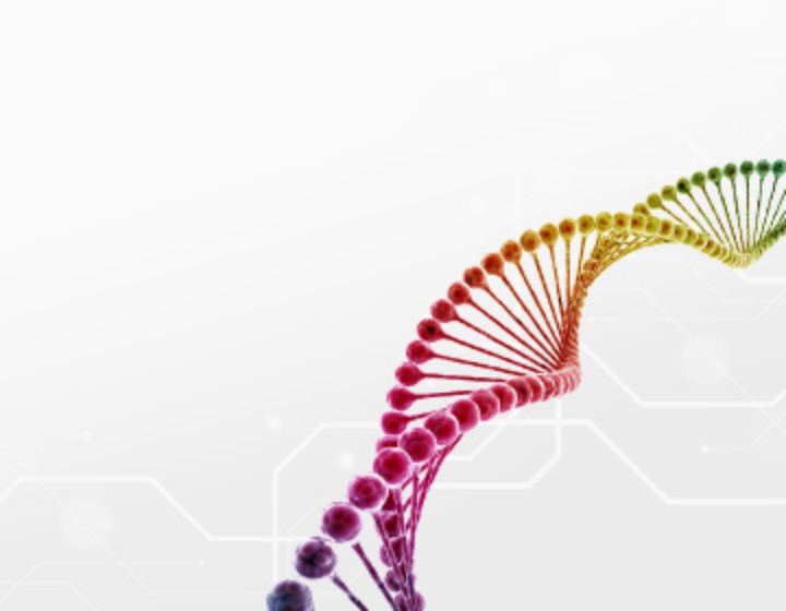 Our Team | Data4Life